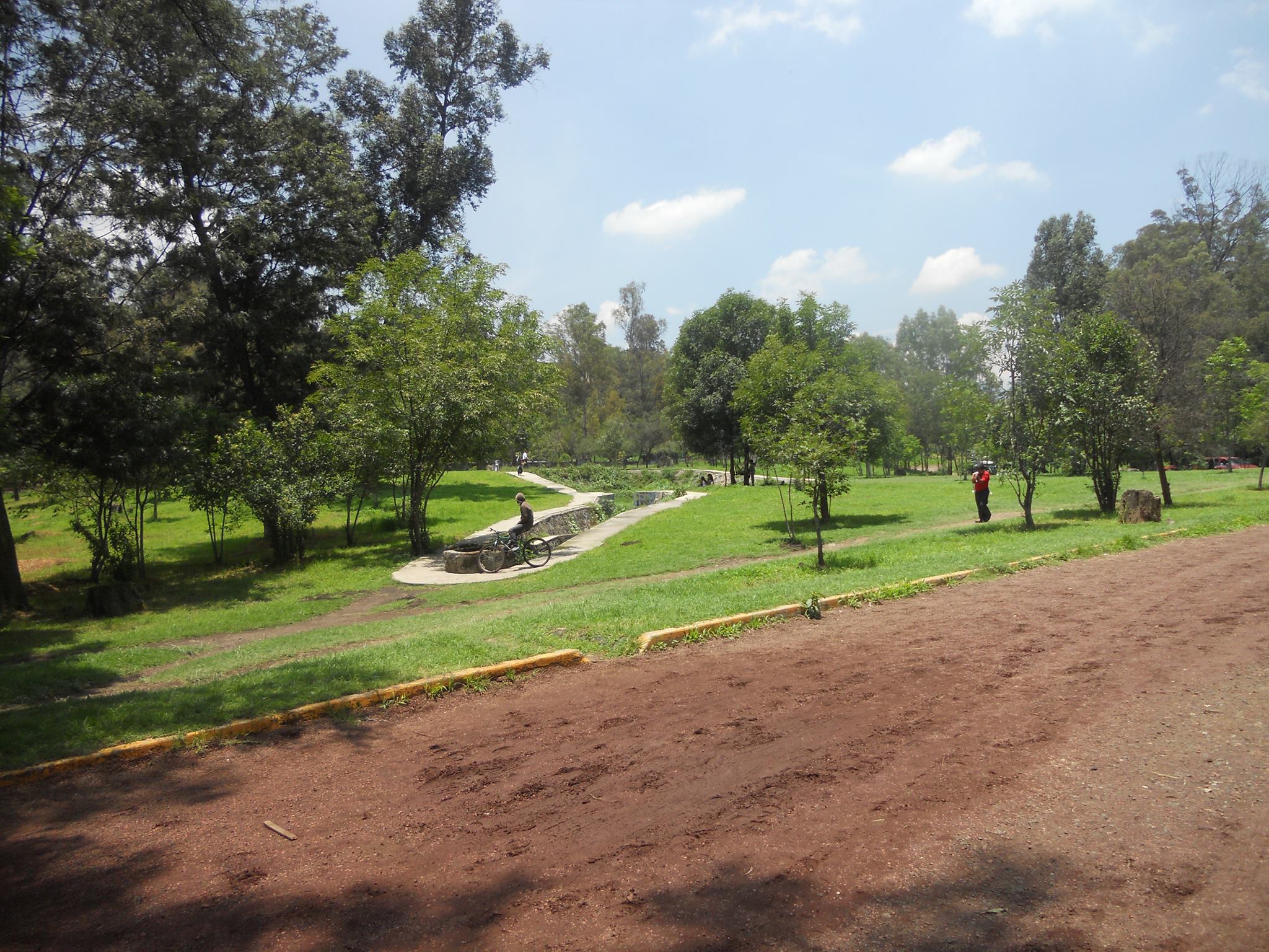 Los mejores parques de la CDMX | ¡Checa la lista completa!