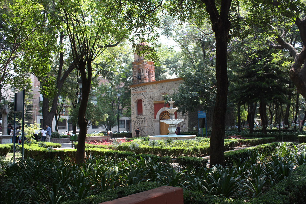 Los mejores parques de la CDMX | ¡Checa la lista completa!
