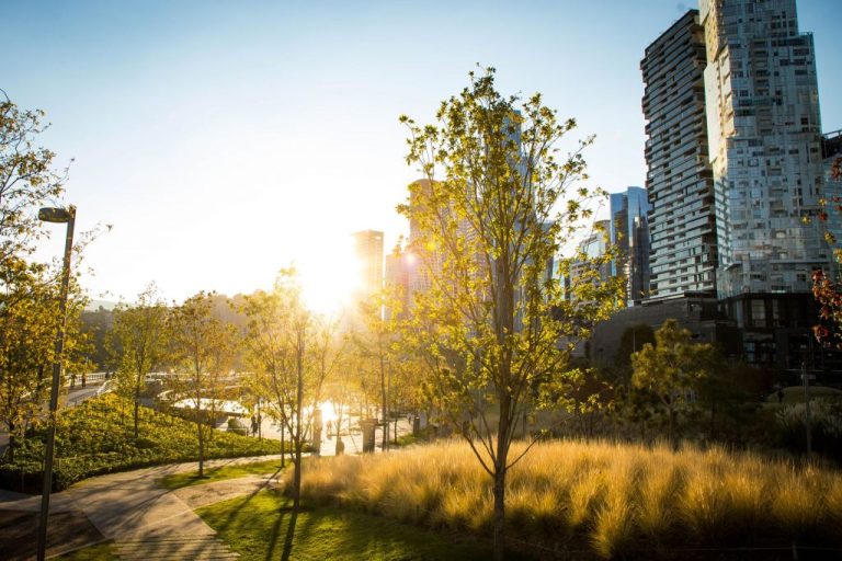 Los mejores parques de la CDMX | ¡Checa la lista completa!